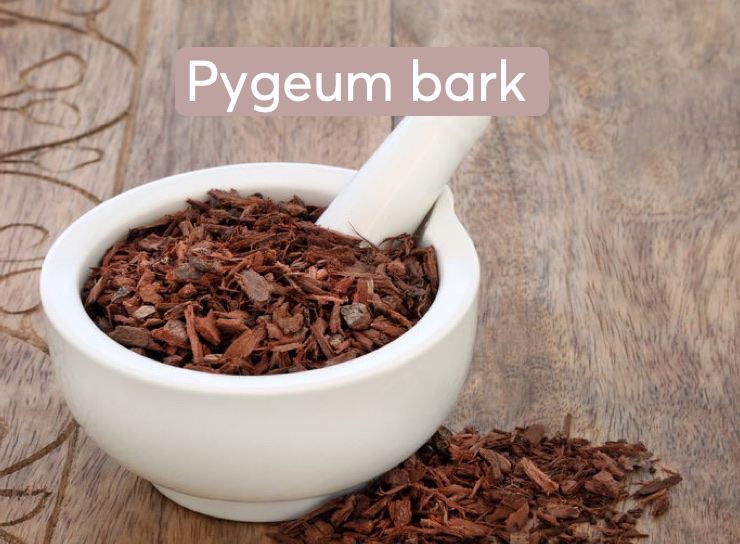 How does Pygeum benefit hair health? | MDhair