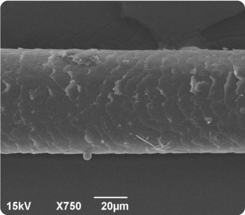 MDhair - Custom Hair Growth Treatment